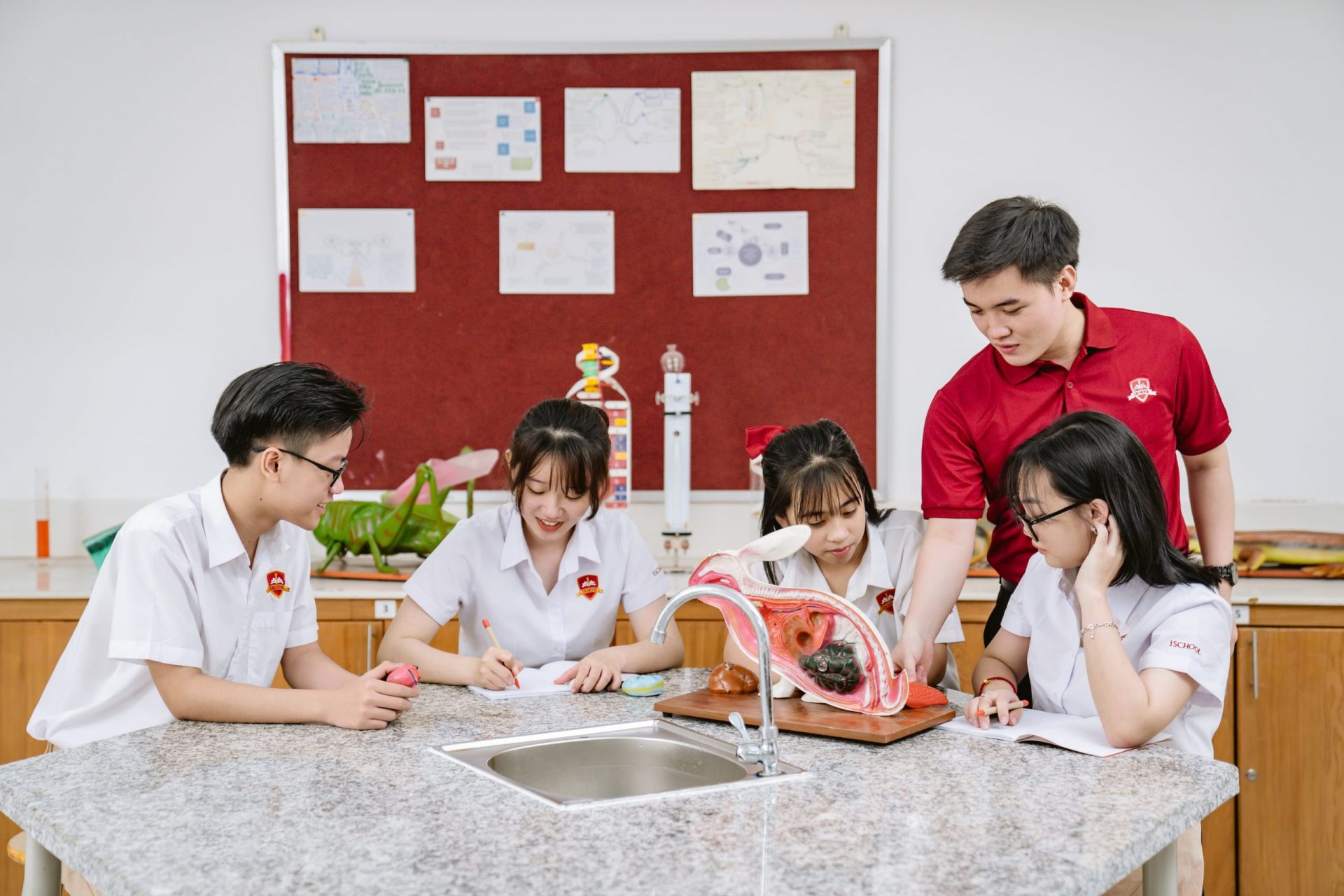 iSchool International Integration School System